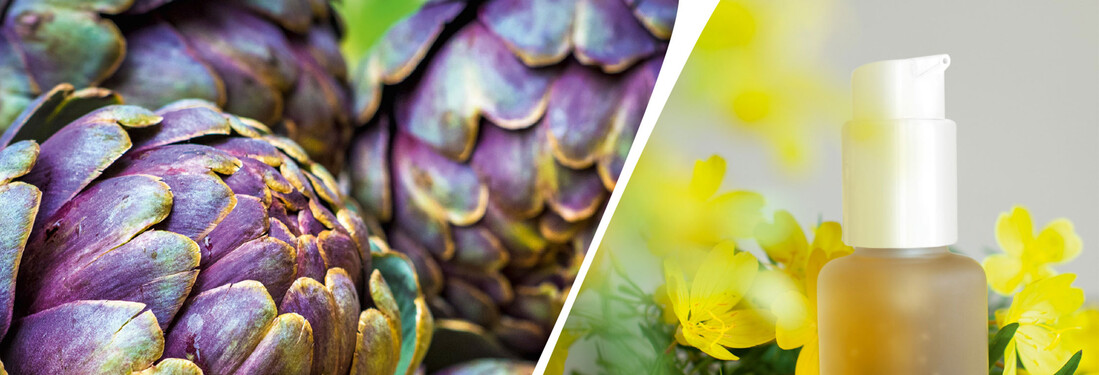 NEWS - Samagi Organics